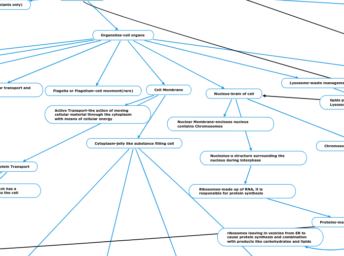 Final Concept Map - Mind Map
